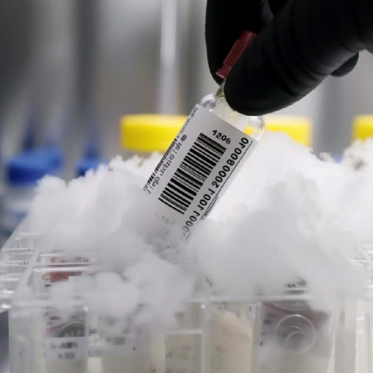 How a Cryogenic Sticker Protects Sample IDs at -196°C